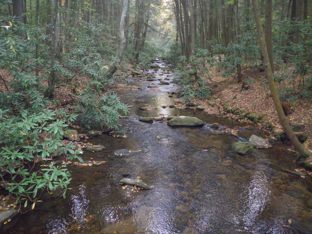 A Stream Classification System for the Appalachian Landscape ...